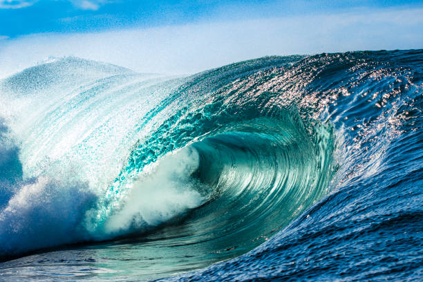 Dancer Class v1.33 | GM Binder